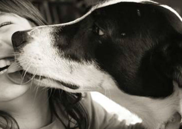 ¿besar A Tu Mascota En La Boca Podría Causarte Cáncer Tips Y Salud